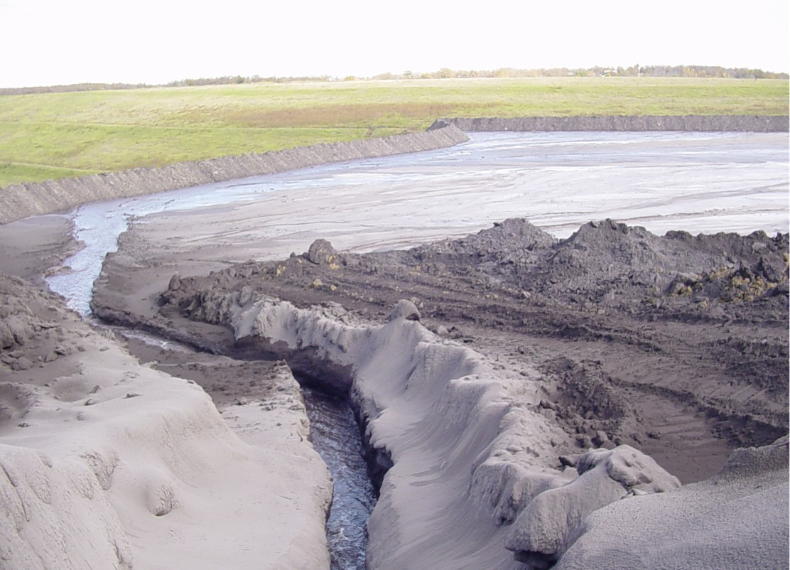 Coal and Coal Combustion