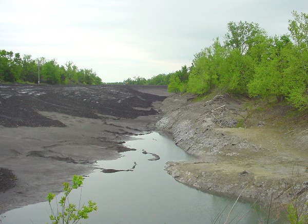 Coal and Coal Combustion